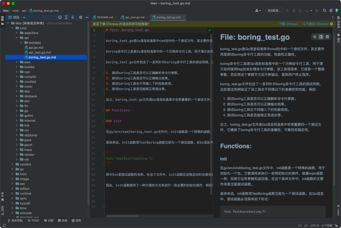 JetBrains Goland Go development tool